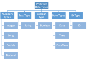 Salesforce Primitive Data Types: A Beginner's Guide with Examples